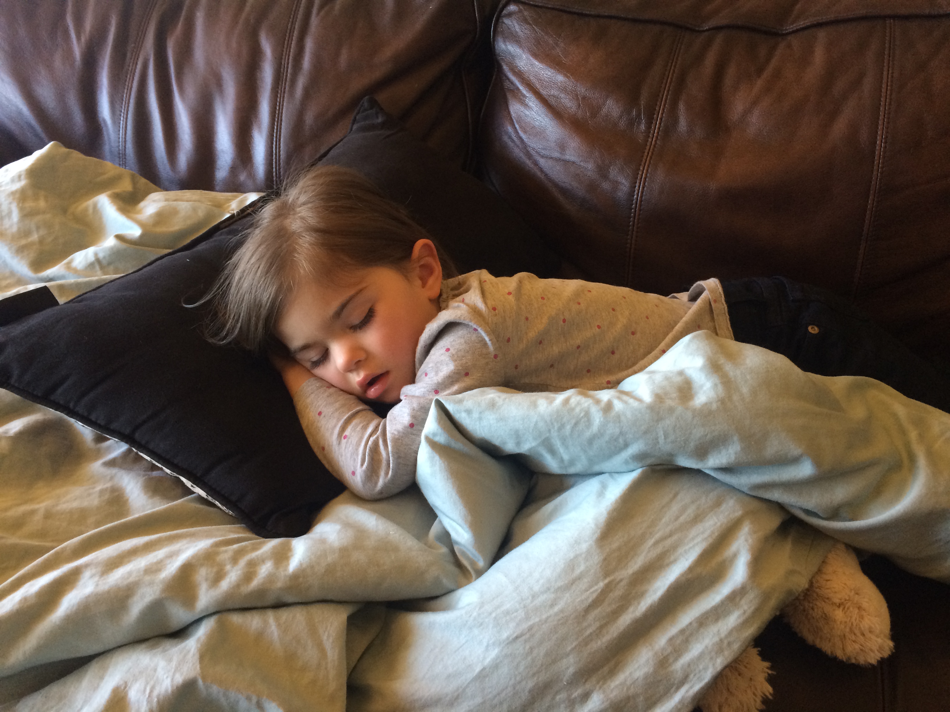 How We Are Wired to Sleep-Part 2
