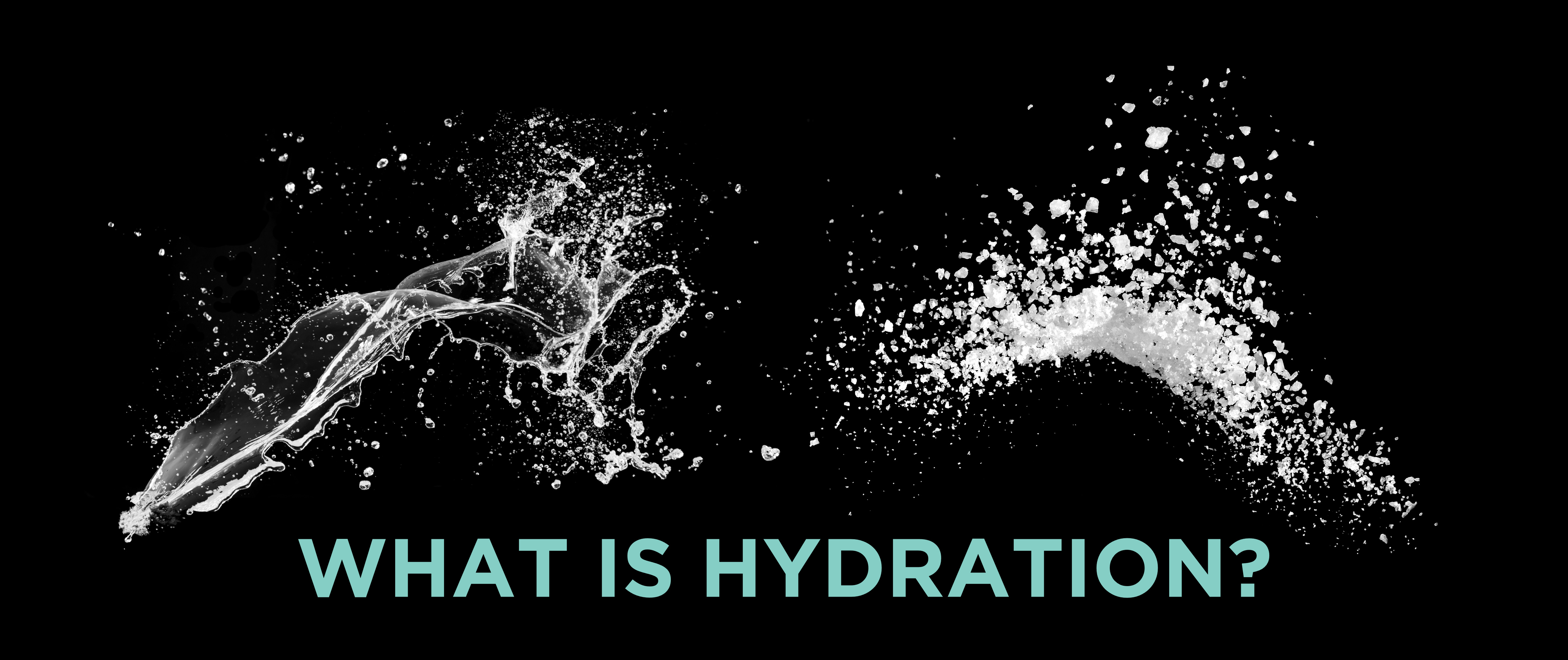Robb Wolf - What Is Hydration? (Part 1)