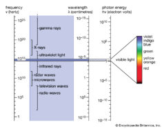Is There A Best Time For Red Light Therapy?